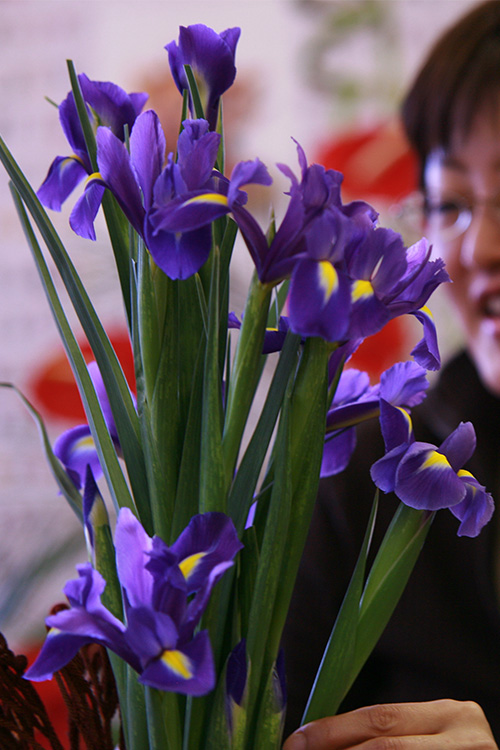 Floristry | West Herts College